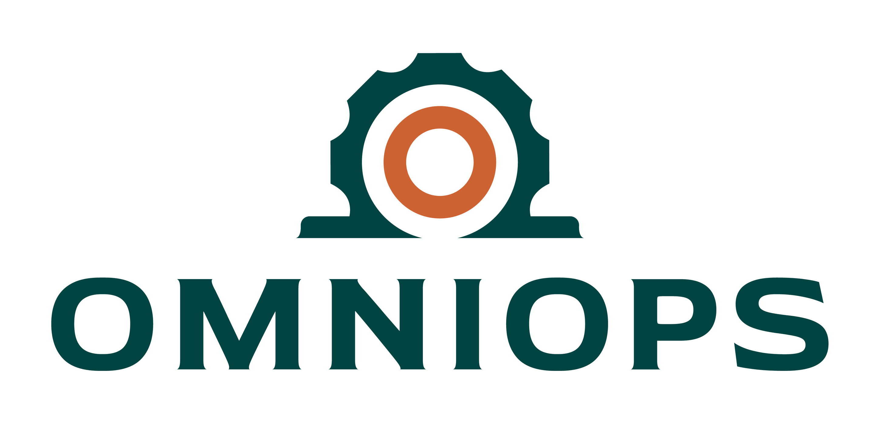 OmniOps - Business Consulting